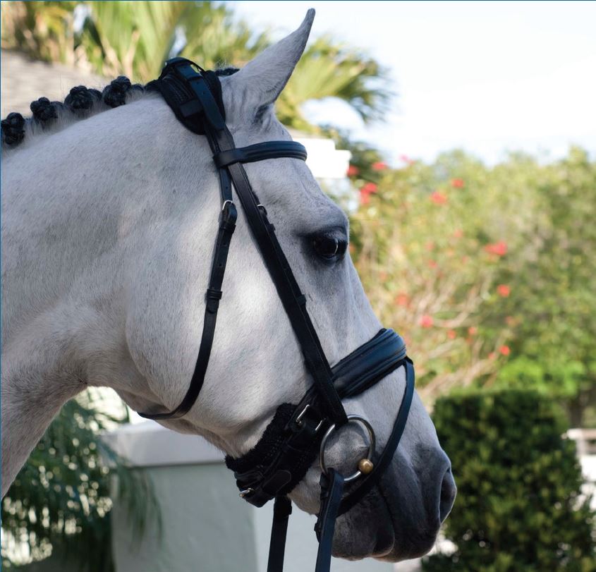 Home | Kathy Connelly Performance Collection Bridle Pads